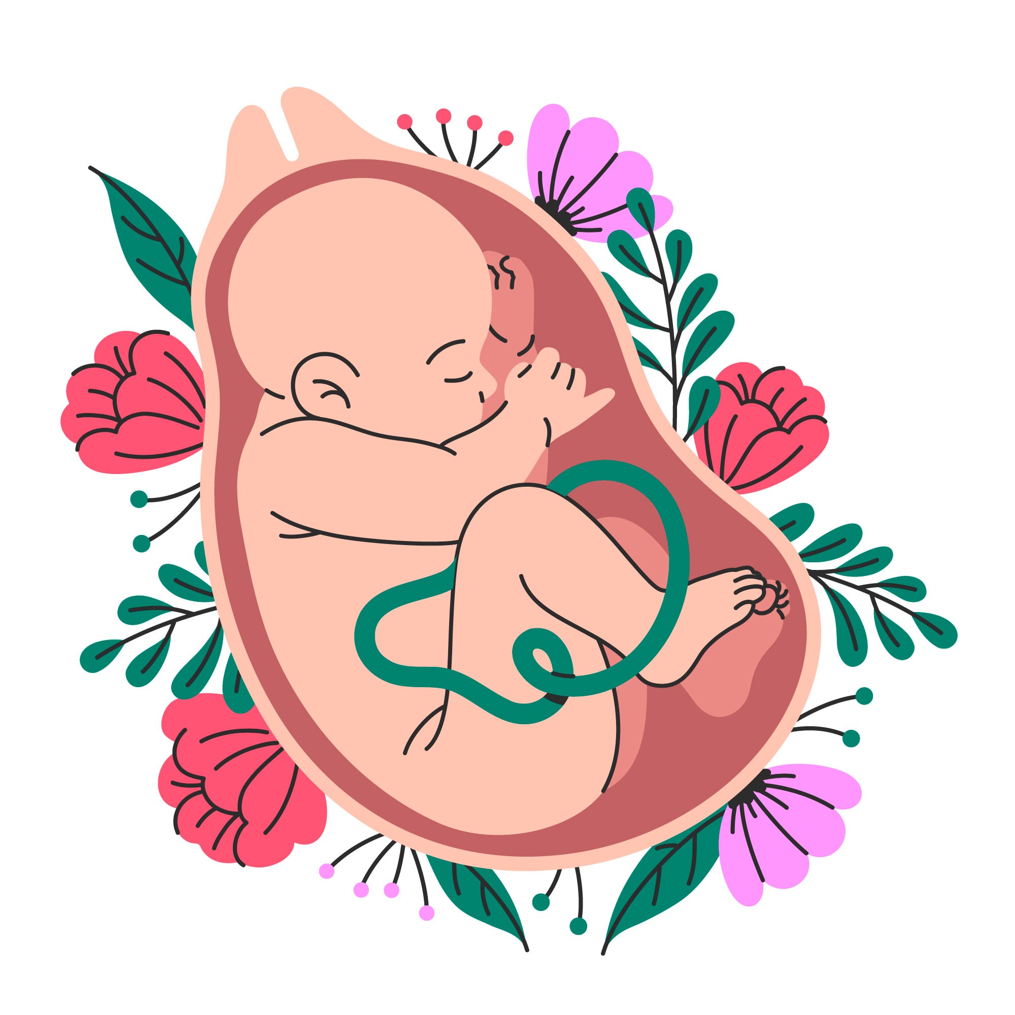 Esta es la "madre del cordero"